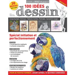 100 idées DESSIN - Spécial initiation et perfectionnement