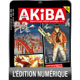Exploration : Les multiples visages de la Pop Culture - AKIBA n°14 ...