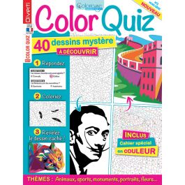 COLOR QUIZ - 40 dessins mystère à découvrir